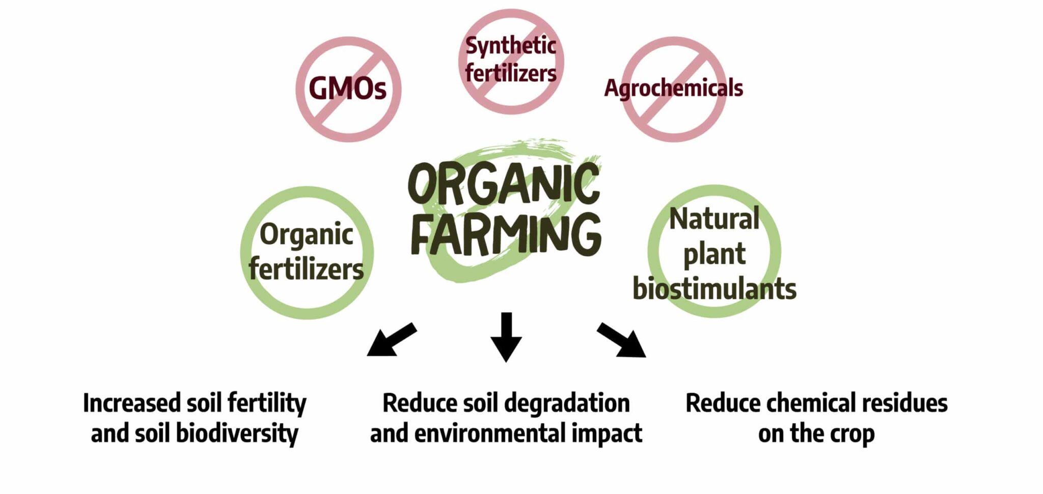 Organic Farming - Sustainable Methods for Healthy Harvests