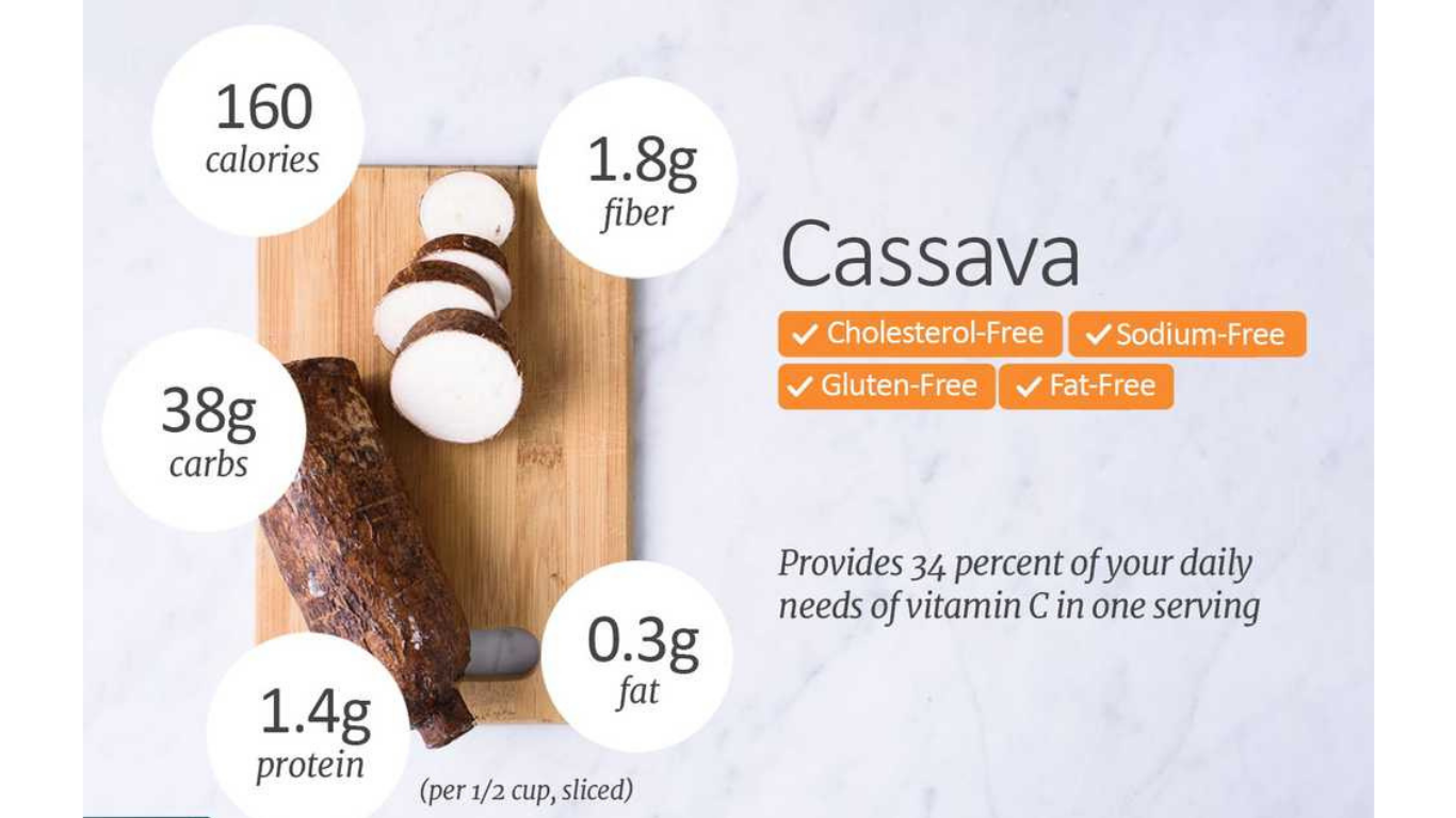 Cassava - Health Benefits, Uses, and How to Grow It
